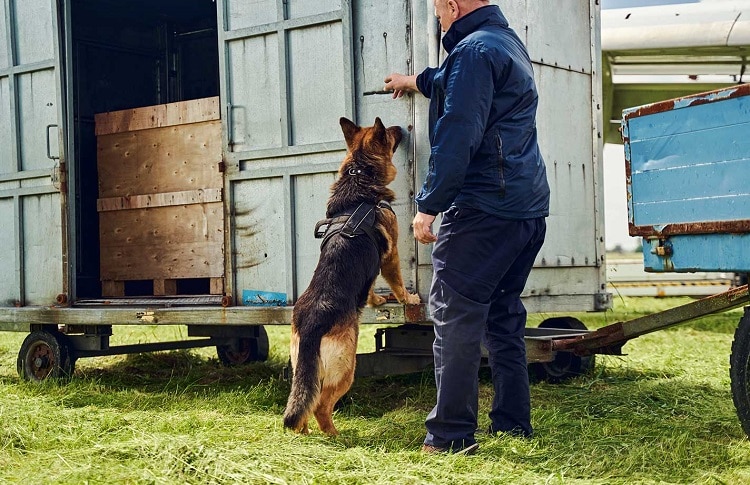 Preventing contraband | Rothmans, Benson & Hedges Inc.